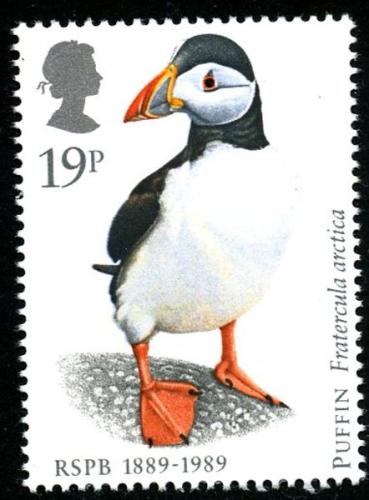 1989 Birds 19p