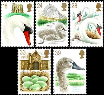 1993 Swans, Abbotsbury Swannery