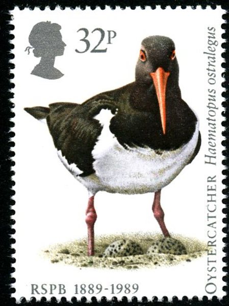 1989 Birds 32p