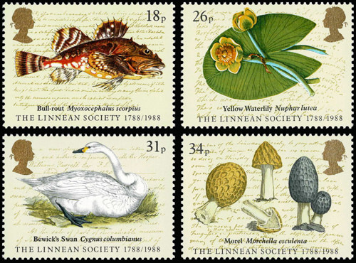 1988 Linnean Society