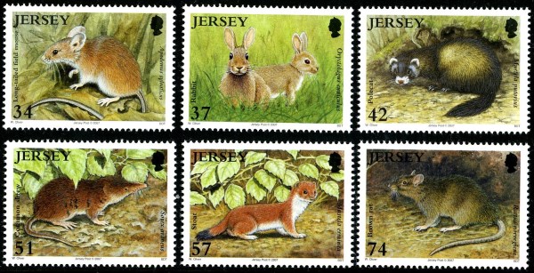 2007 Jersey Nature, Countryside Animals