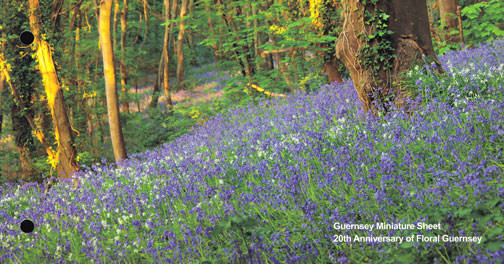 2012 Floral Guernsey 20th Anniversary MS Pack